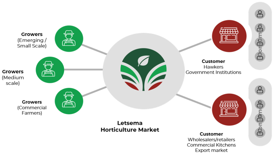 Business Model – Letsema Horticulture Market
